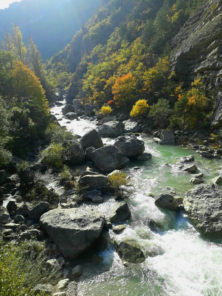 Droit juridique des Non-Humain : quand un fleuve ou la nature toute ...